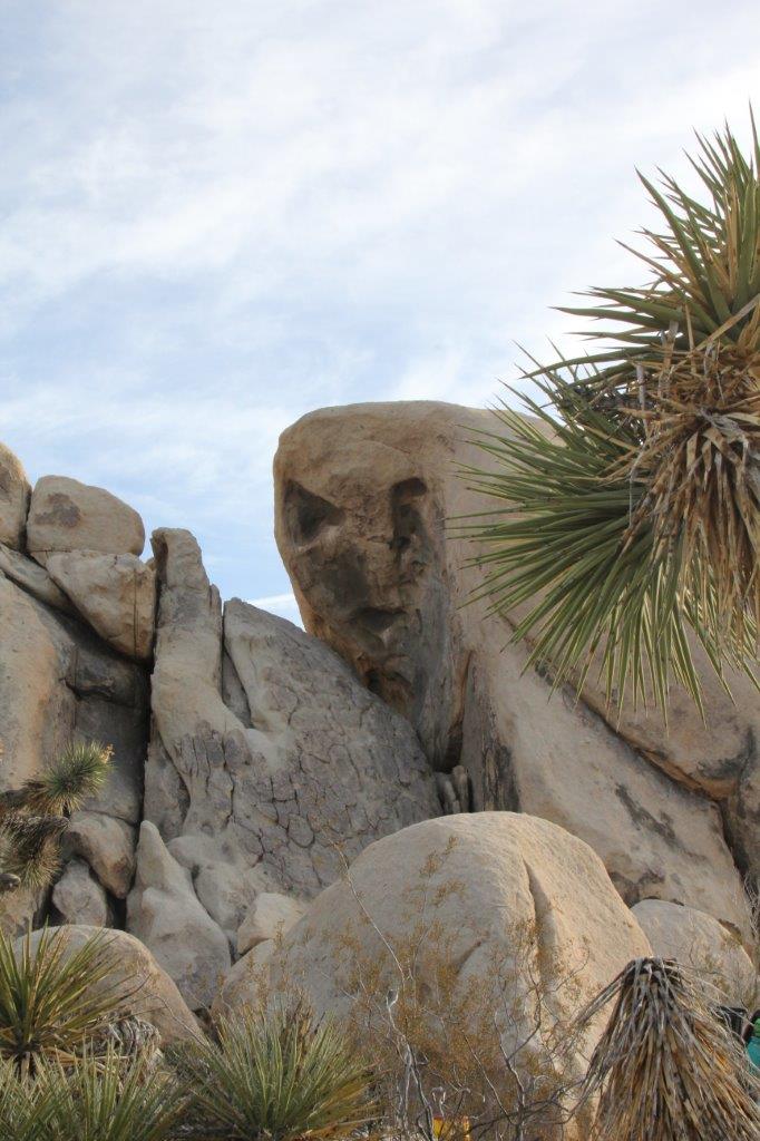 Stone Face - Opencaching in North America